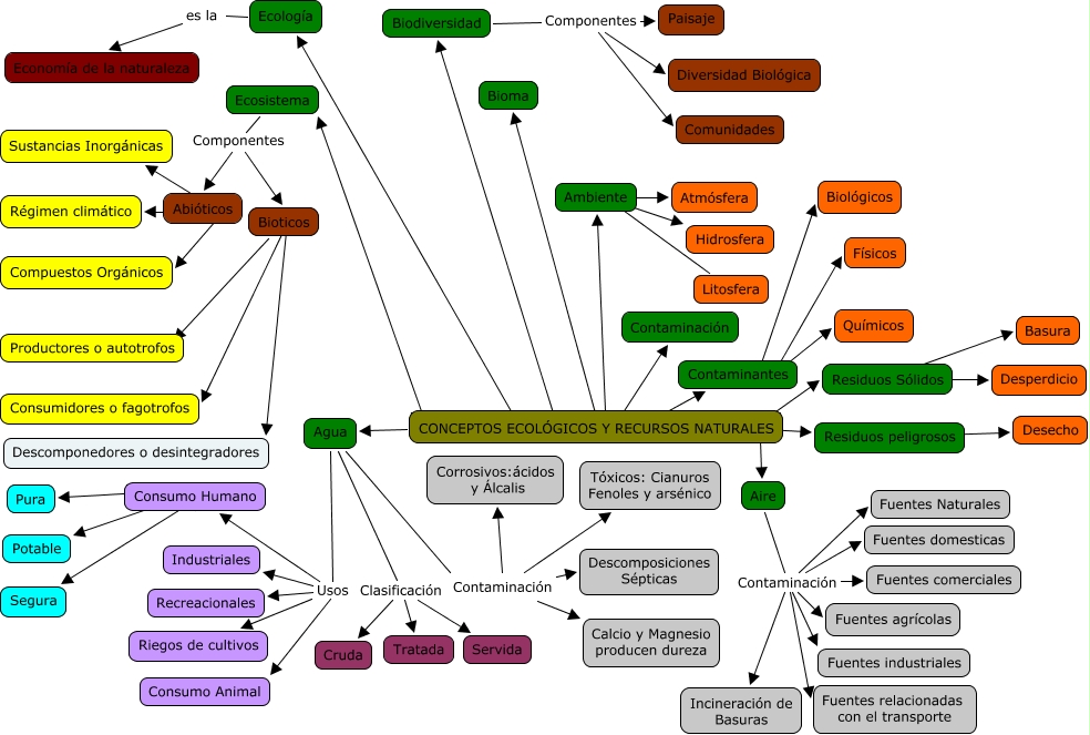 Conceptos ecologicos